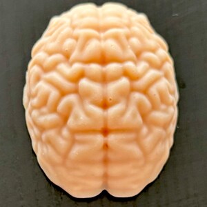 Human Brain Soap in a Mini Box - Handmade, All-natural, Great Gift - Etsy