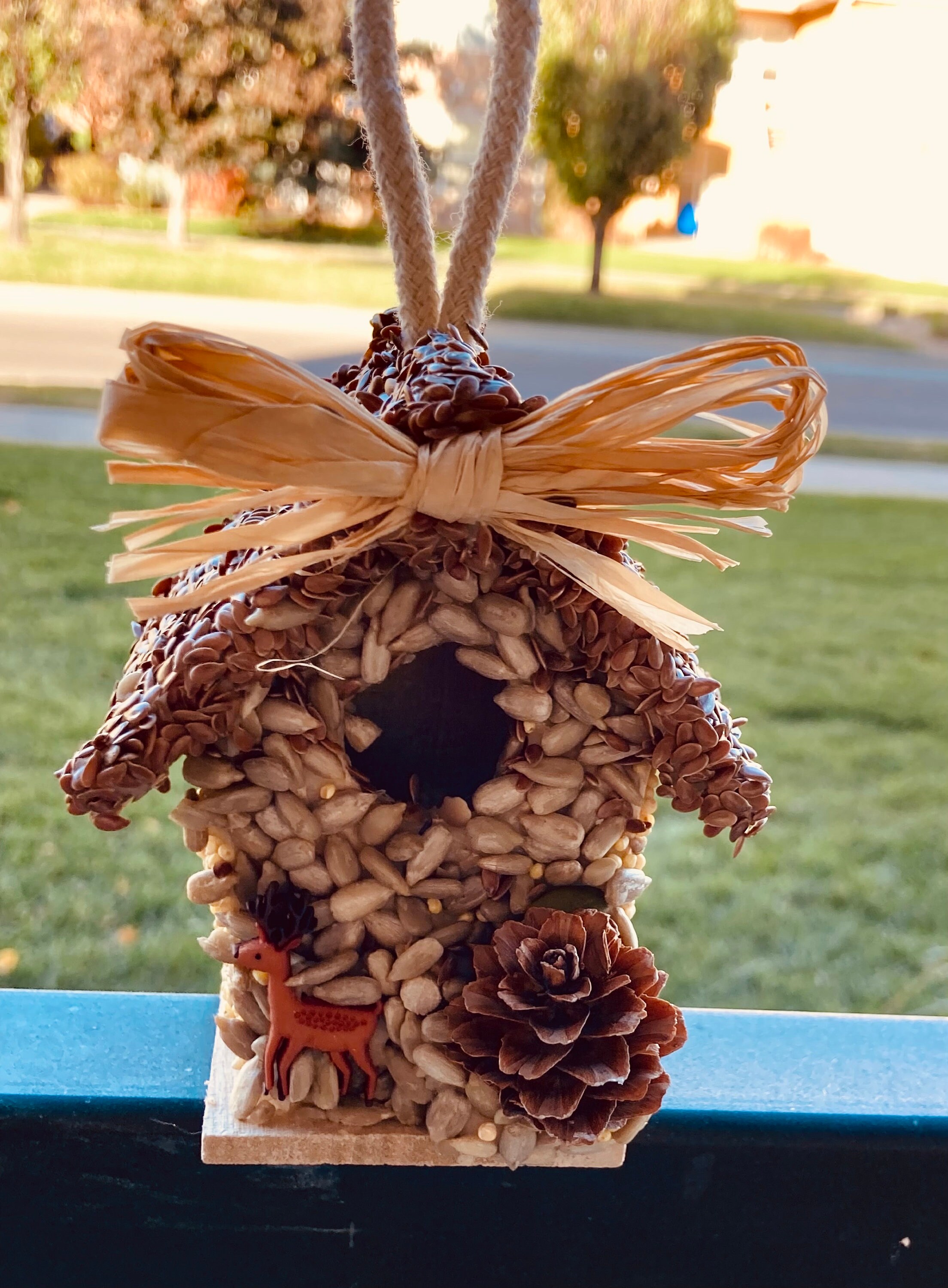 Small Edible Bird House. Adorable and a Perfect Little Gift. Great for ...