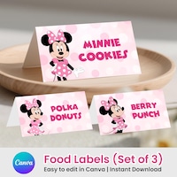 ANY AGE / Oh Twodles Minnie Mouse Birthday Food Labels | Modern Minnie ...