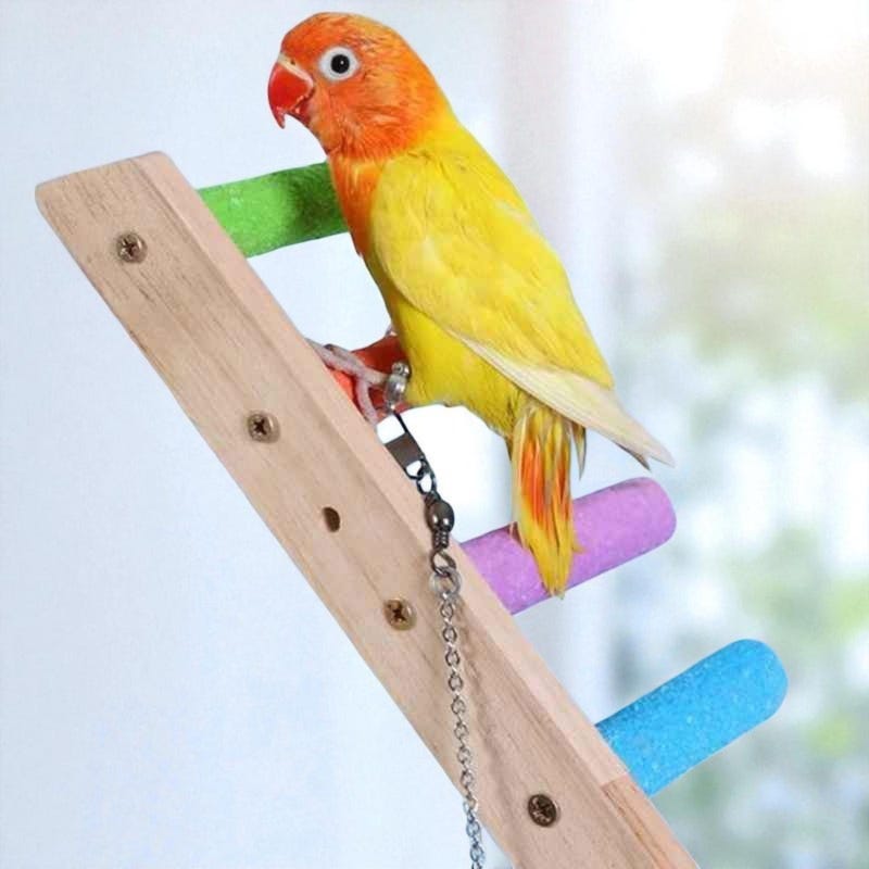 Interactive Ladder - Etsy