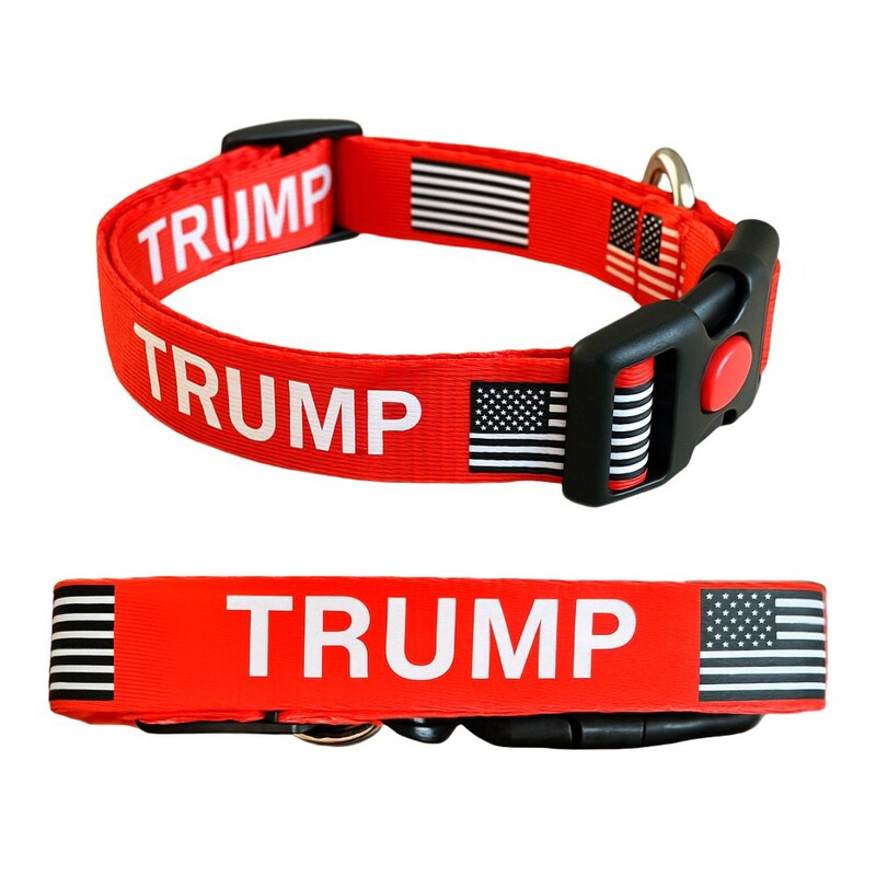Patriotic Dog Collar - Etsy