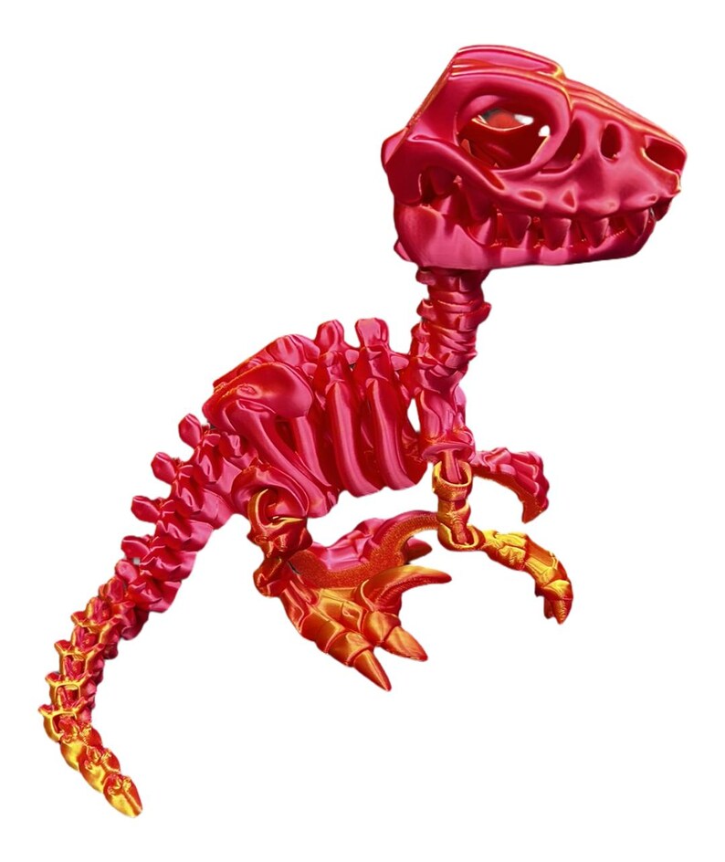 3D Printed Raptor - Etsy