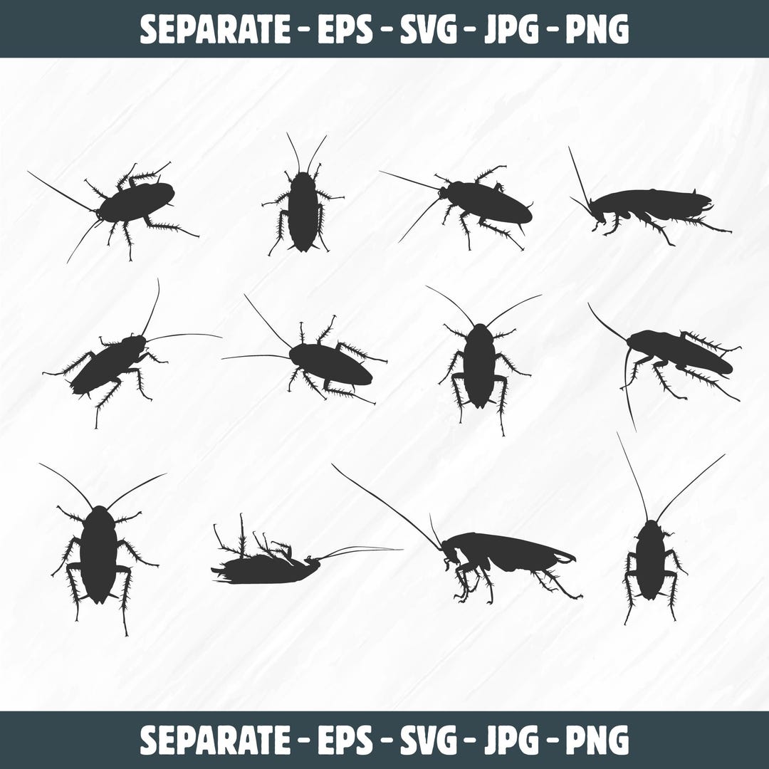Cockroach Svg, Cockroach Silhouette, Cockroachs Svg, Cockroach Icon ...