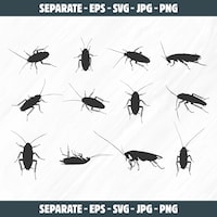 Cockroach SVG, Insect Svg, Cockroach Clip Art, Cockroach Vector, Bug ...