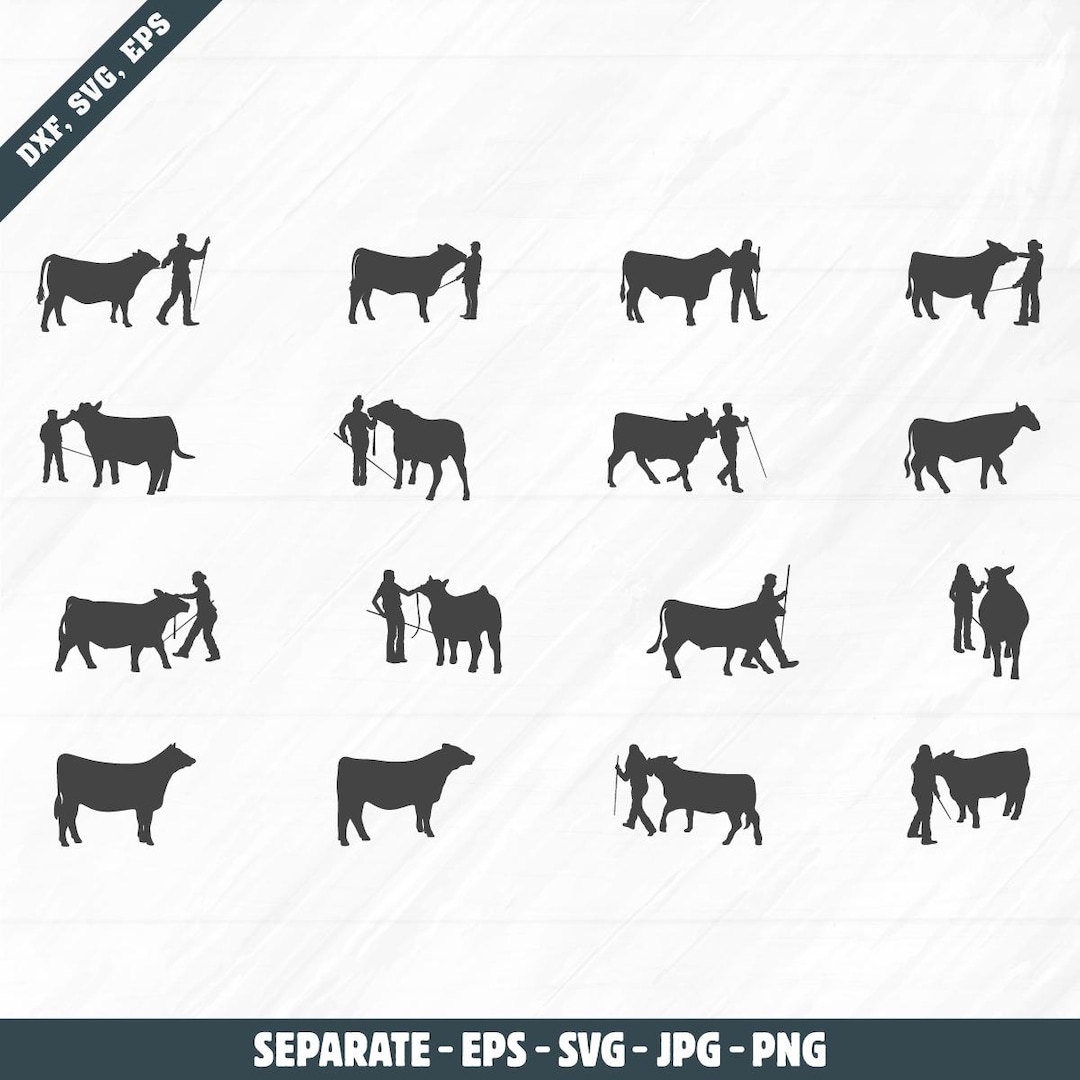 Show Steer Silhouette SVG Bundle: Livestock Vector Graphics - Etsy