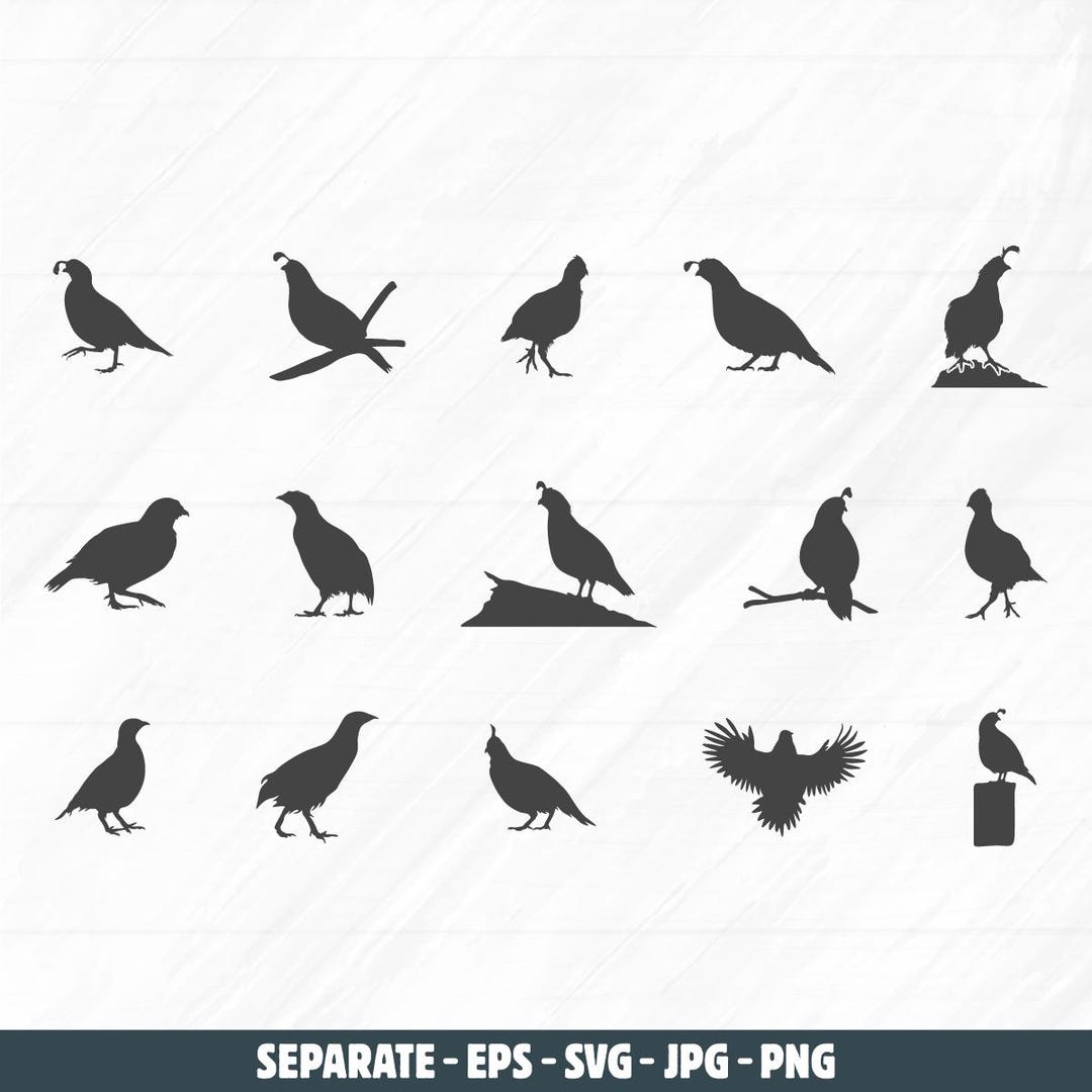 Quail Bird SVG: Bobwhite Silhouette Vector Graphics (digital Download ...