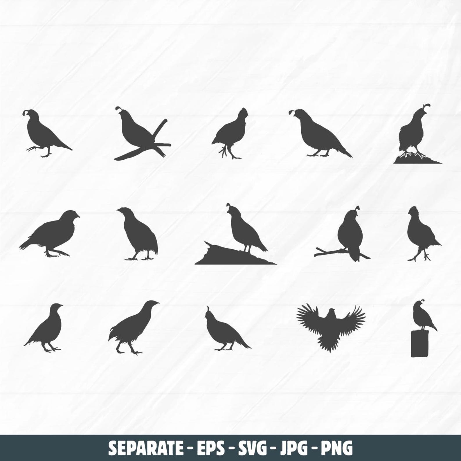 Quail Bird SVG: Bobwhite Silhouette Vector Graphics (digital Download ...