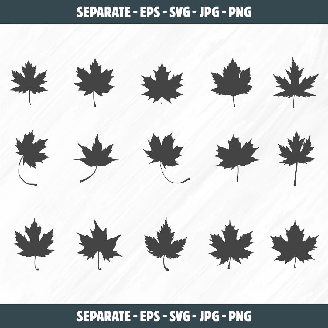 Maple Leaf SVG, Maple Leaf Silhouette, Maple Leaf Icon, Maple Leaf ...