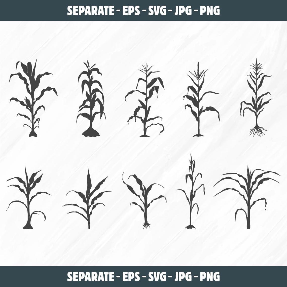 Corn Stalk Svg, Corn Stalk Silhouette, Corn Tree Svg, Corn Tree ...