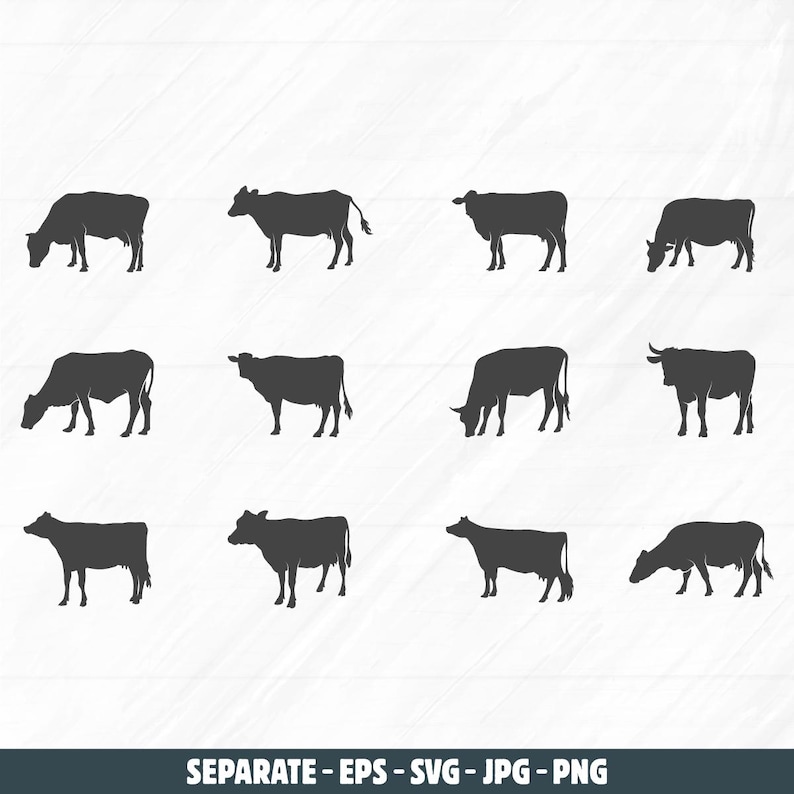 Jersey Cow SVG: Silhouette Vector Clipart (digital Files) - Etsy
