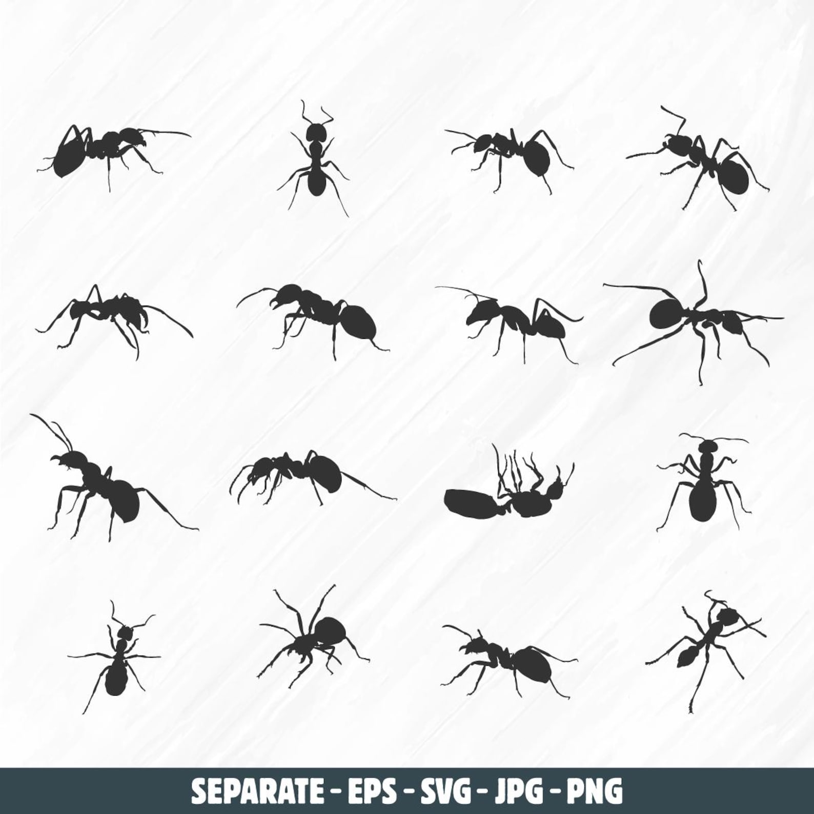 Ants Svg, Ant Silhouette, Ant Clipart, Ant Silhouette Set, Ants Vector Set, Ant Crawling ...
