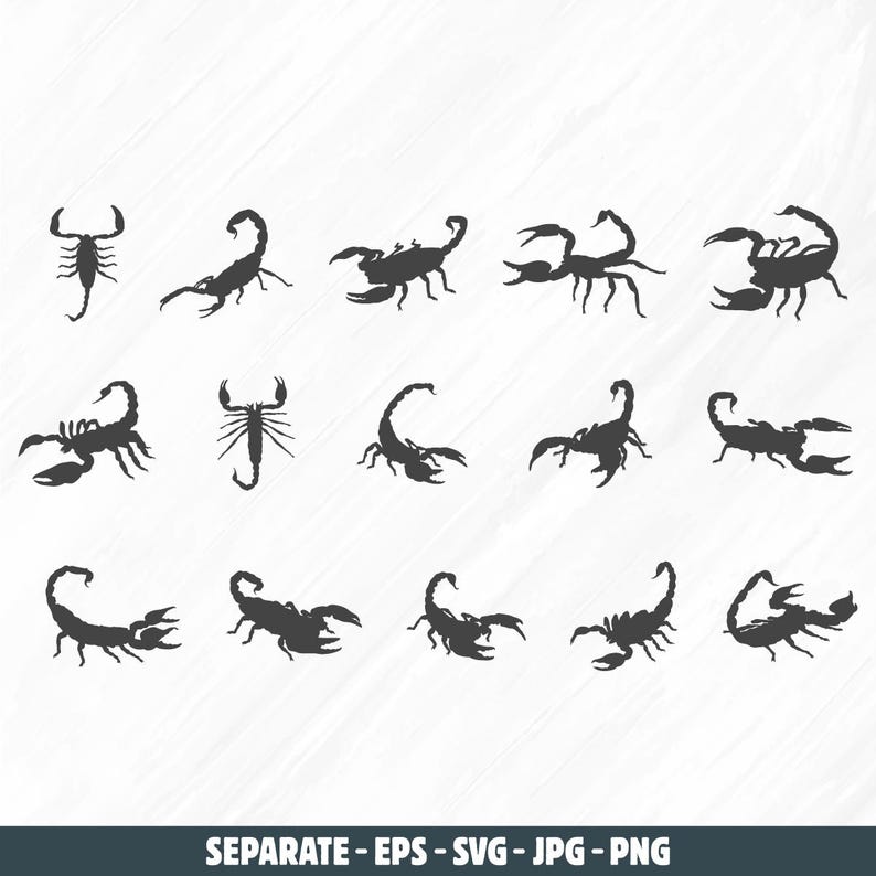 Scorpion Silhouette, Scorpion Svg, Scorpion Vector, Scorpion Logo ...