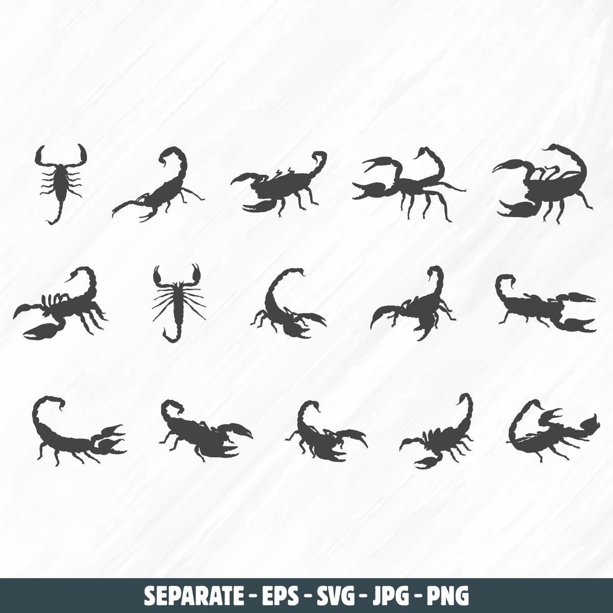 Scorpion Silhouette, Scorpion Svg, Scorpion Vector, Scorpion Logo ...