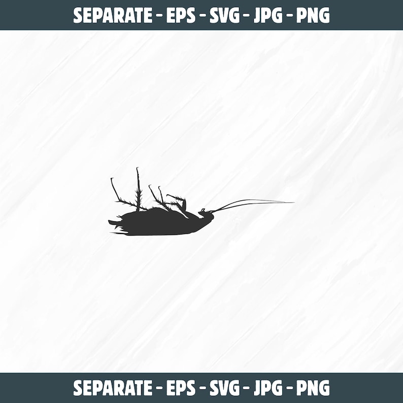 Cockroach Svg, Cockroach Silhouette, Cockroachs Svg, Cockroach Icon ...