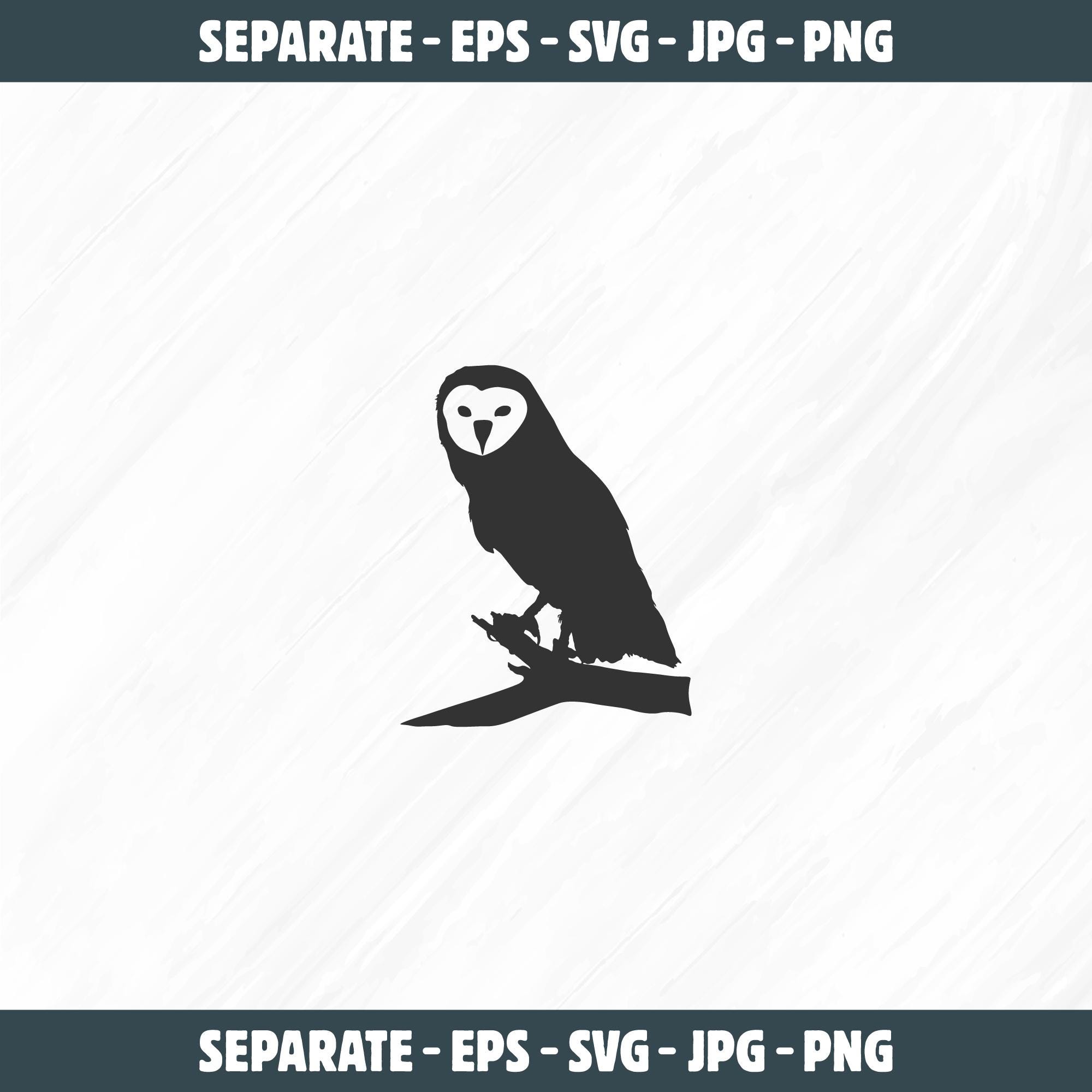 Owl Silhouette, Owl Svg, Barn Owl Silhouette, Owl Vector, Owl Bird ...