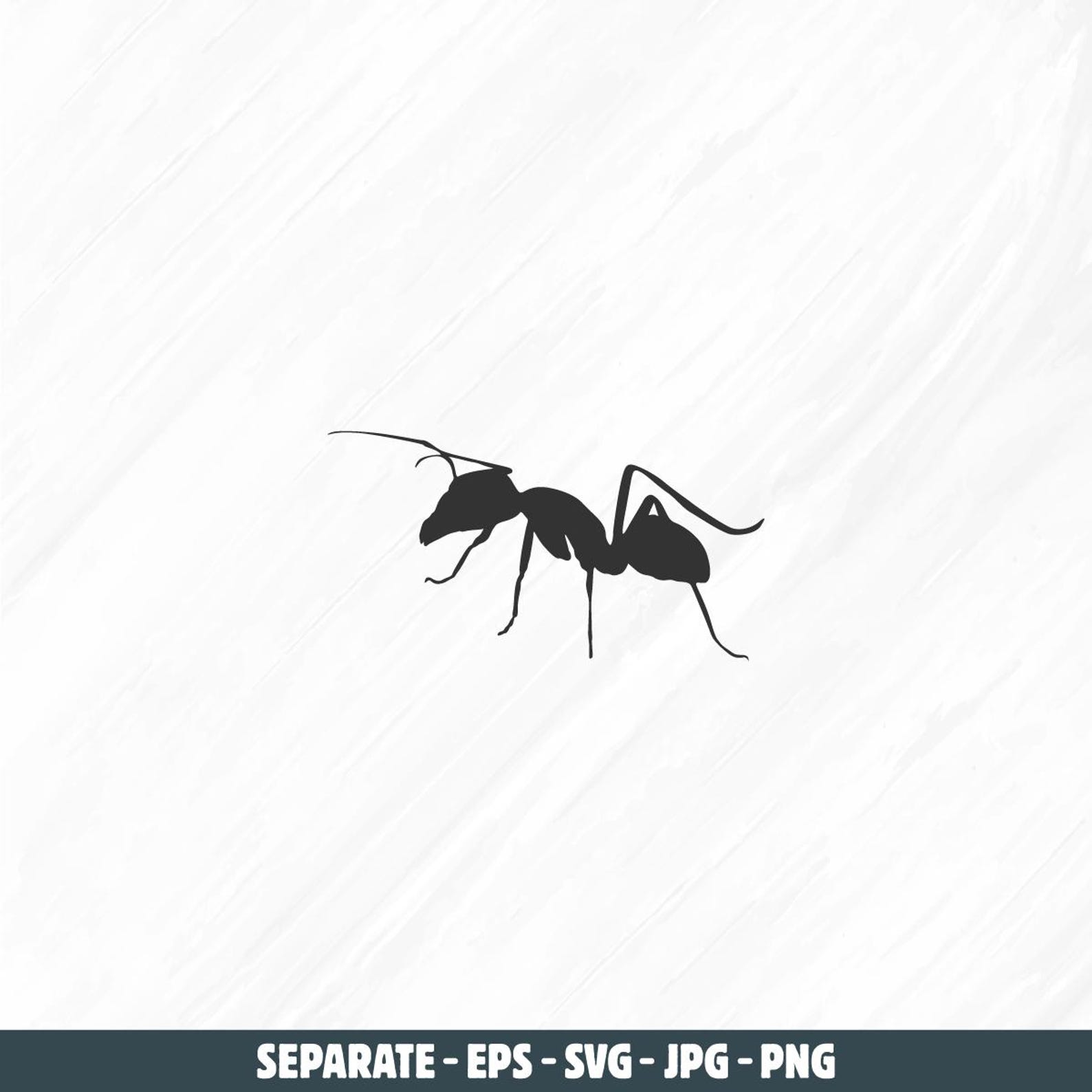 Ants Svg, Ant Silhouette, Ant Clipart, Ant Silhouette Set, Ants Vector Set, Ant Crawling ...