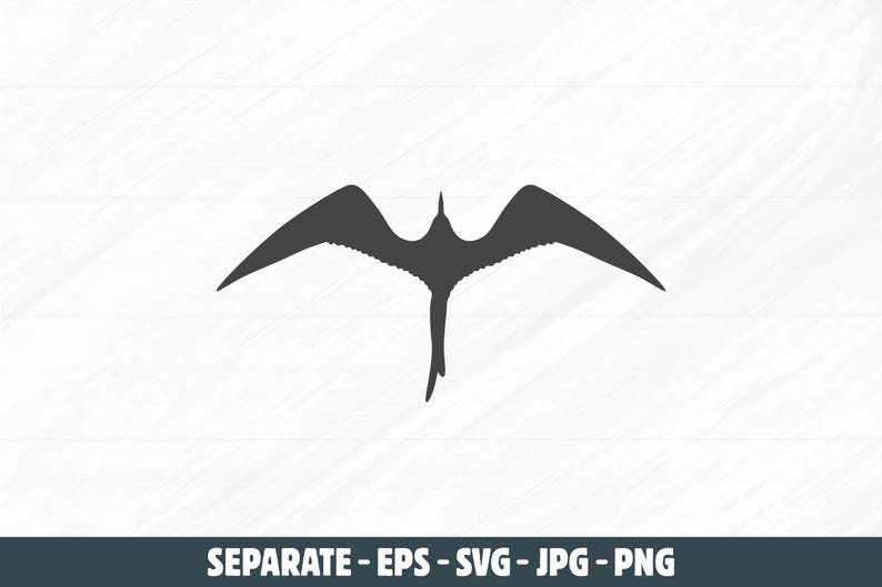 Great Frigate Svg, Great Frigate Silhouette, Frigate Bird Svg ...