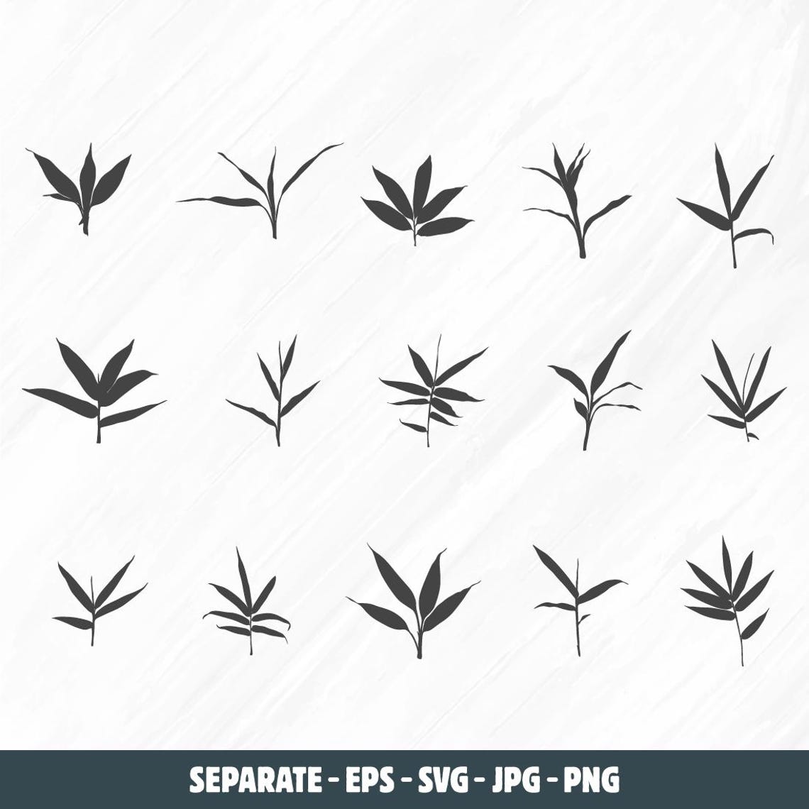 Bamboo Leaf Svg, Bamboo Leaf Silhouette, Bamboo Leaf Vector, Bamboo ...