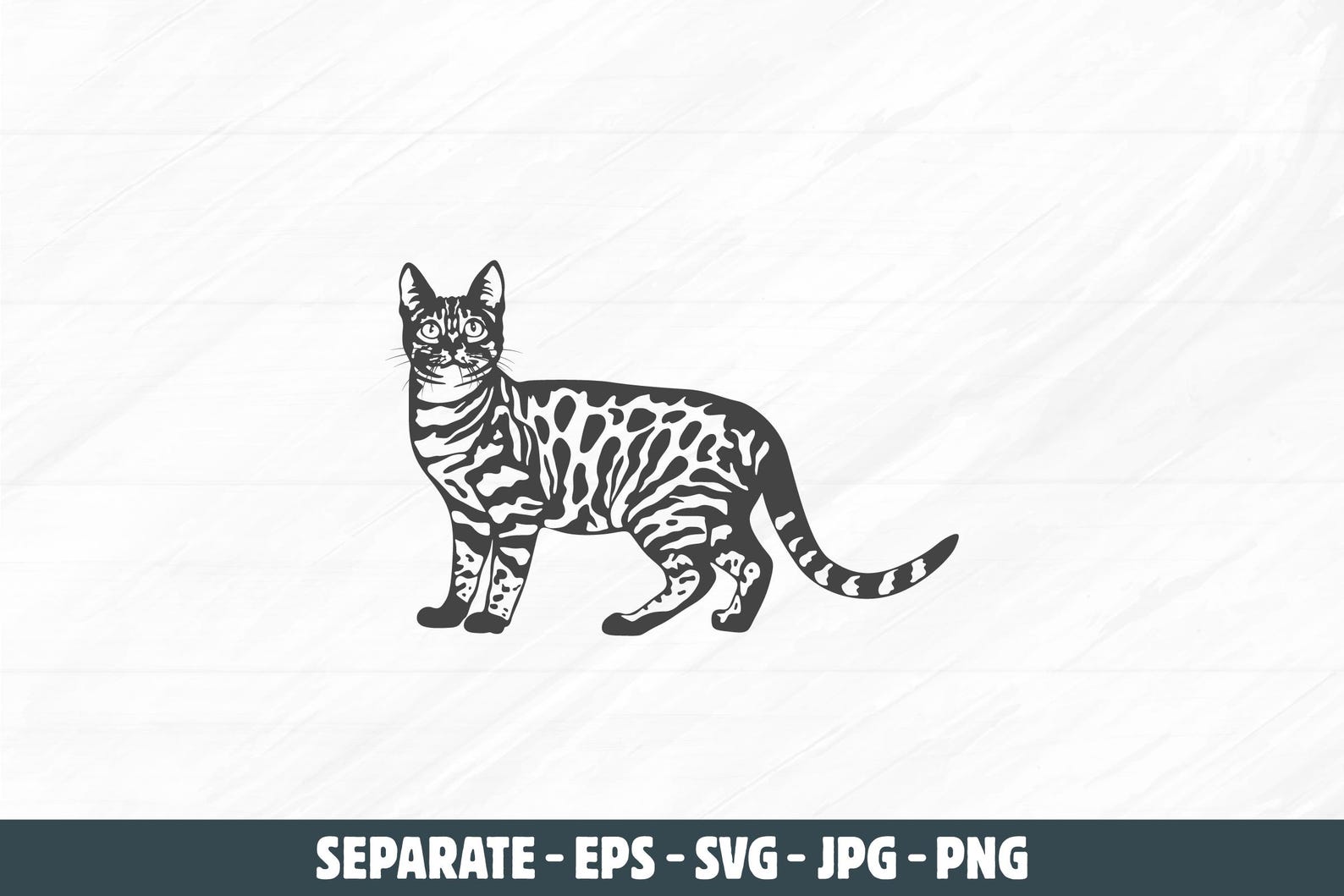 Bengal Cat Vector, Bengal Cat Svg, Bengal Cat Drawing, Bengal Cat ...