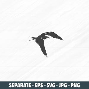 Great Frigate Svg, Great Frigate Silhouette, Frigate Bird Svg ...