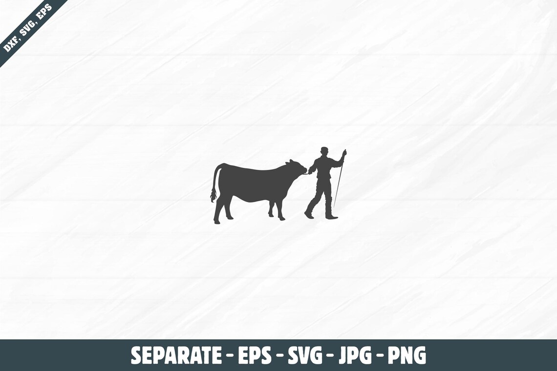 Show Steer Silhouette SVG Bundle: Livestock Vector Graphics - Etsy