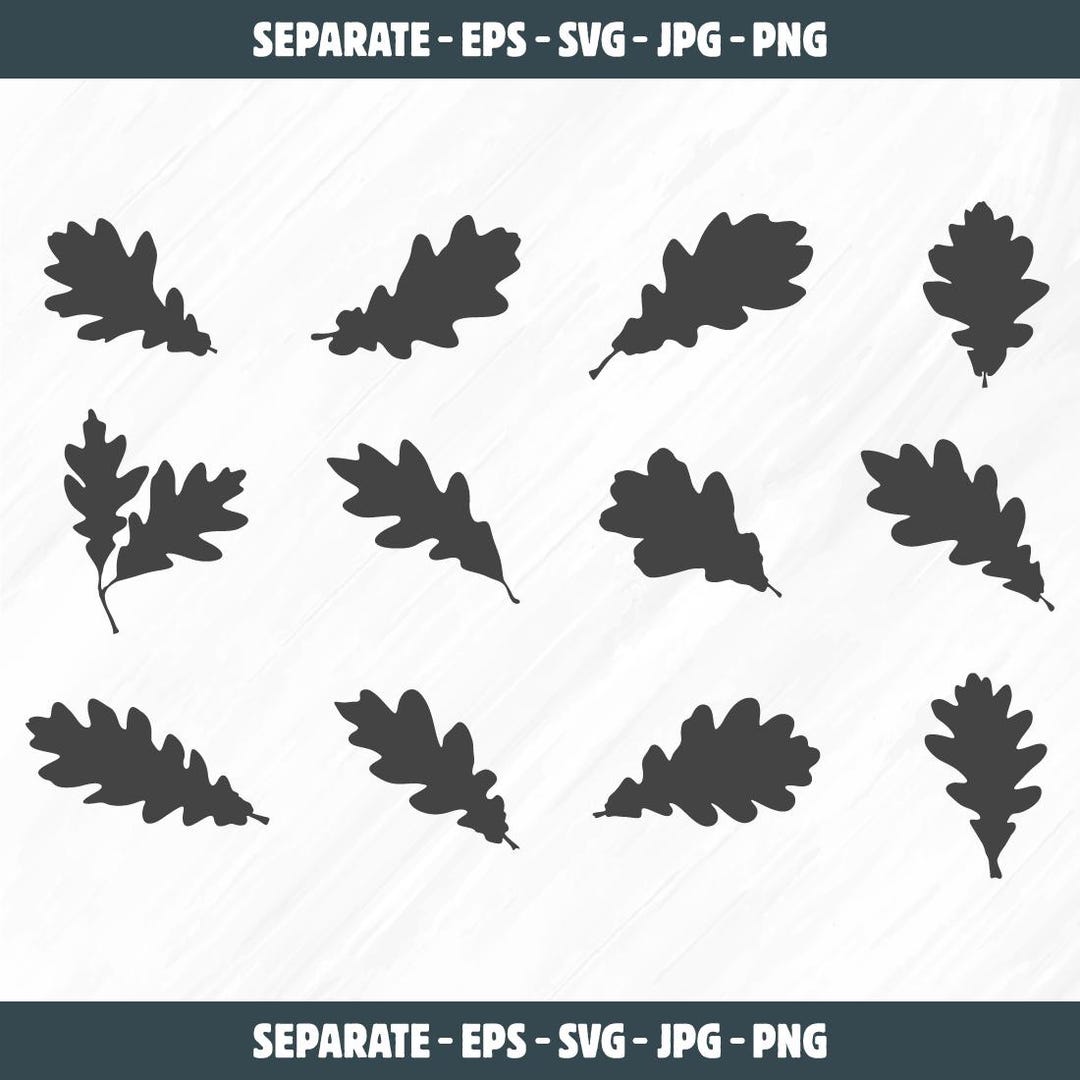 Oak Leaf Svg, Oak Leaf Silhouette, Oak Leaf Vector, Oak Leaf Clipart ...