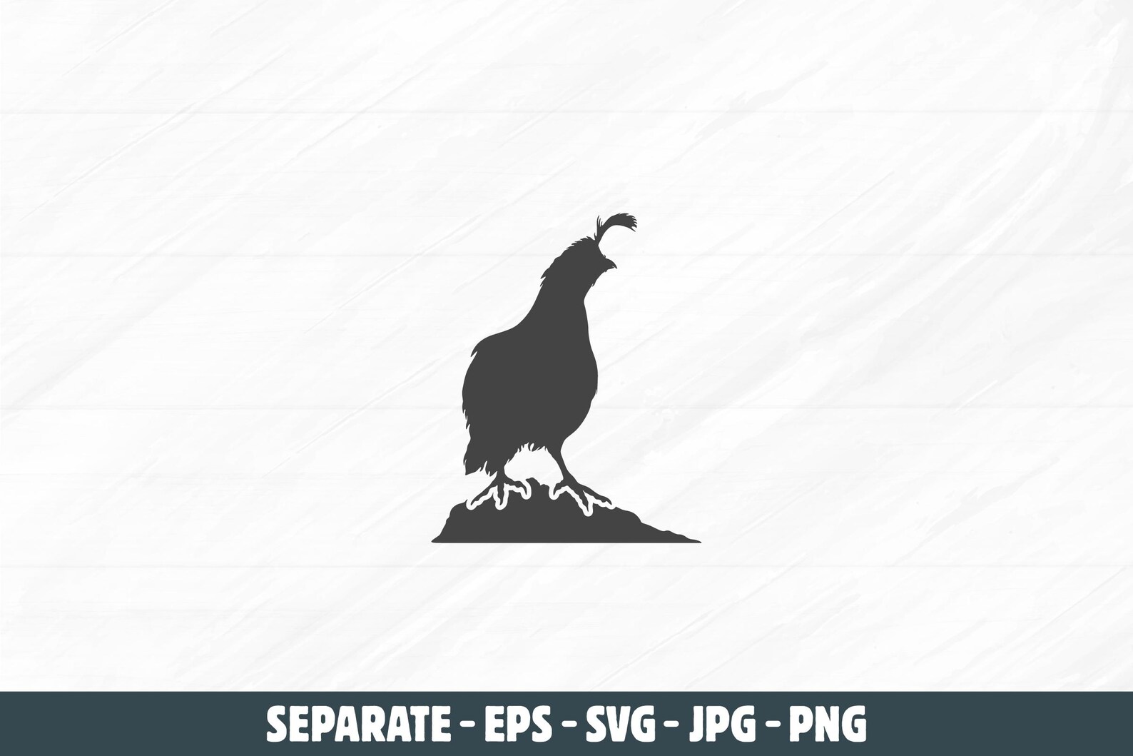 Quail Bird SVG: Bobwhite Silhouette Vector Graphics (digital Download ...