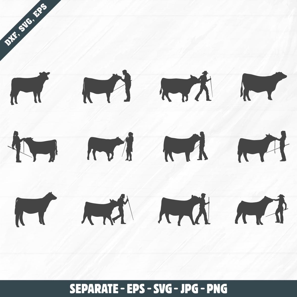 Show Heifer SVG: Cattle Silhouette Vector Files (eps, Svg, Dxf, Png ...