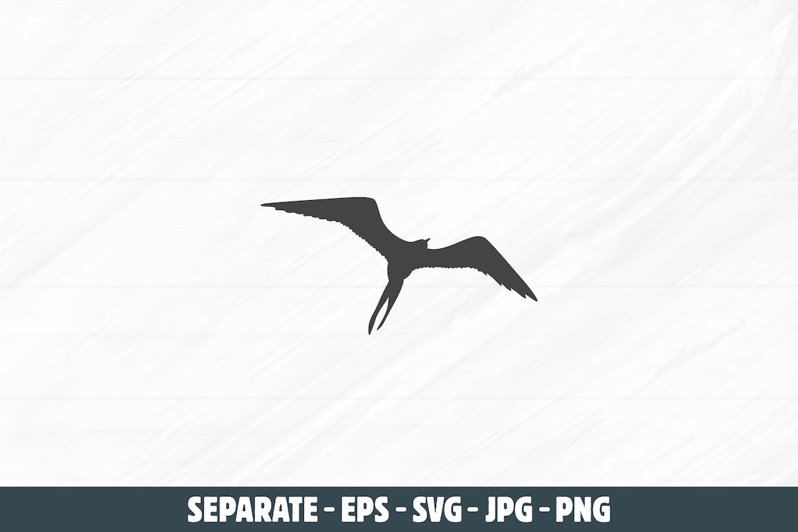 Great Frigate Svg, Great Frigate Silhouette, Frigate Bird Svg ...
