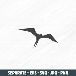 Great Frigate Svg, Great Frigate Silhouette, Frigate Bird Svg ...