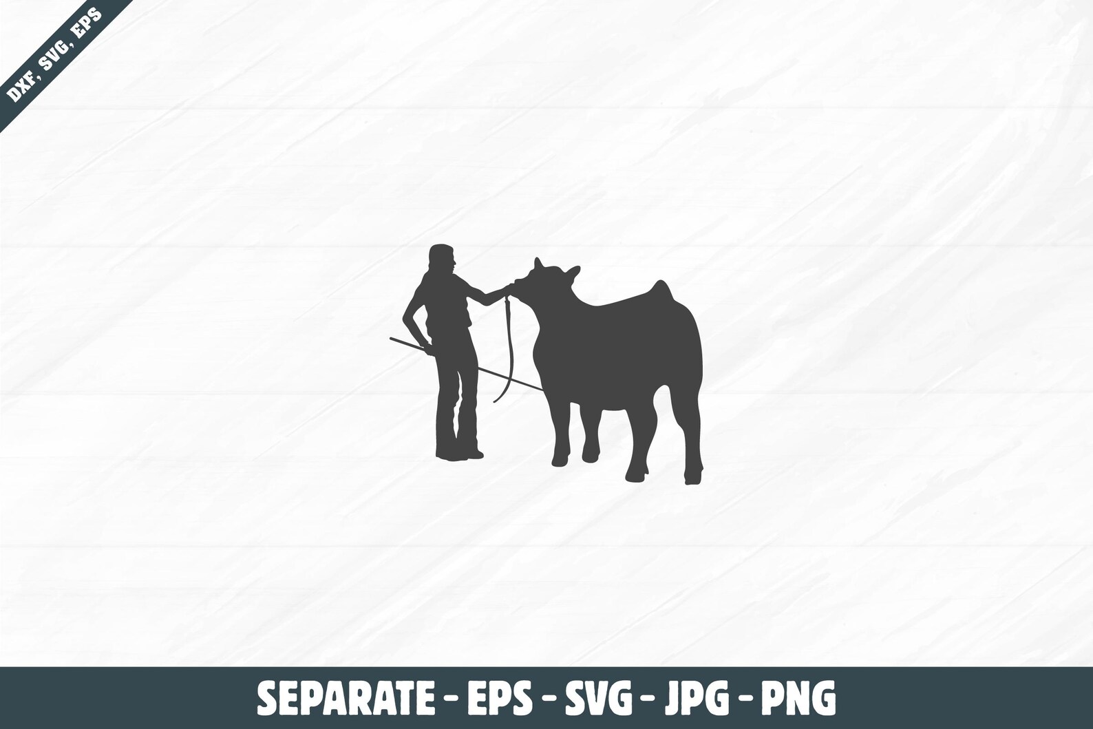 Show Steer Silhouette SVG Bundle: Livestock Vector Graphics - Etsy
