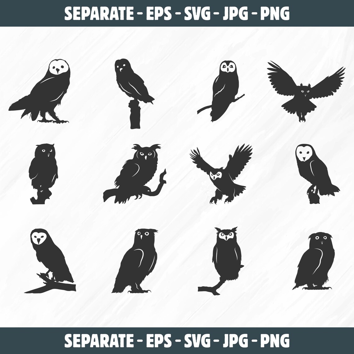 Owl Silhouette, Owl Svg, Barn Owl Silhouette, Owl Vector, Owl Bird ...
