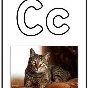 ABC Flashcards: Printable Alphabet Learning Cards for Preschool (PDF ...