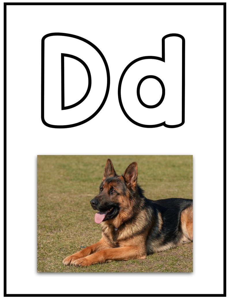 ABC Flashcards: Printable Alphabet Learning Cards for Preschool (PDF ...