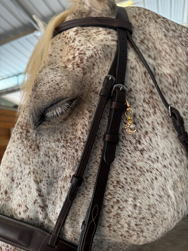 Bridle Charm Set - WTF, Leopard & Letter Charm for Horse Tack - Etsy