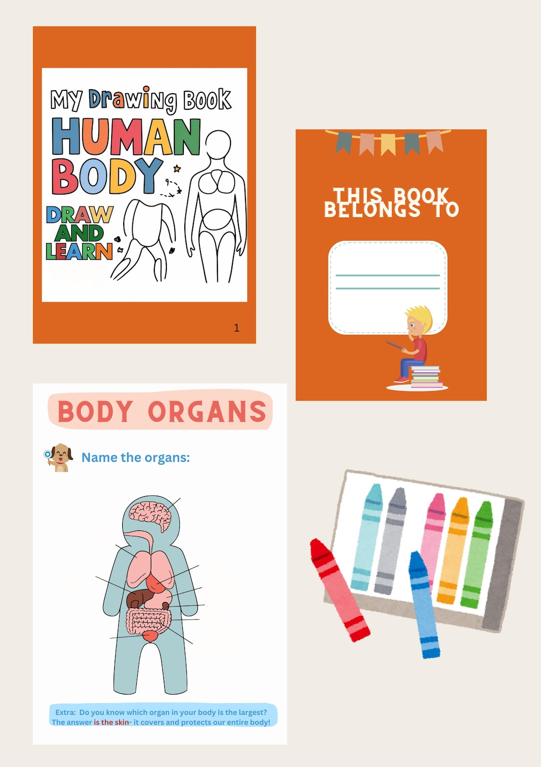 Medical Coloring Book for Kids to Learn About the Human Body, Anatomy ...