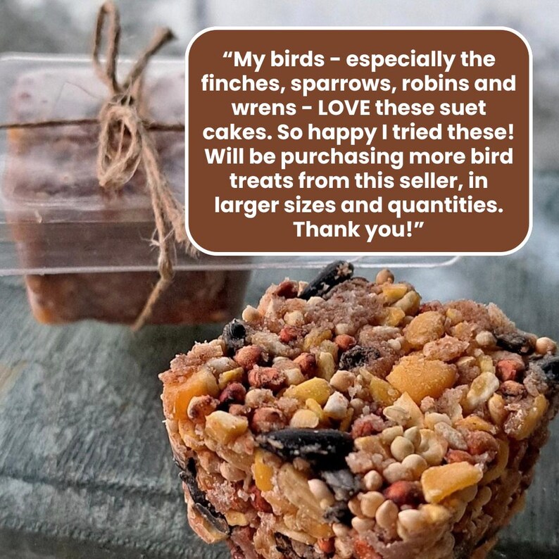 SET of 4,bird Seed,suet,mini,tarts,bird Feeder,suet Cakes,party Favor ...