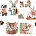 Fall Animals Classroom Clipart Bundle Woodland Teacher Graphics Autumn ...