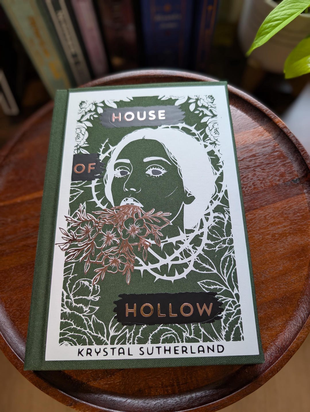 House of Hollow by Kathryn Sutherland Rebound Into a Custom, Handmade ...