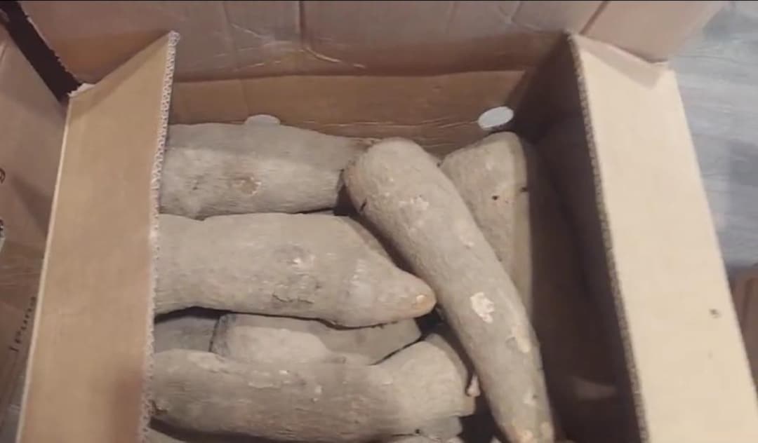 Ghana Yam/ Yam Full Box / Yam Half Box / Yam Quarter Box/ Fresh Ghana ...
