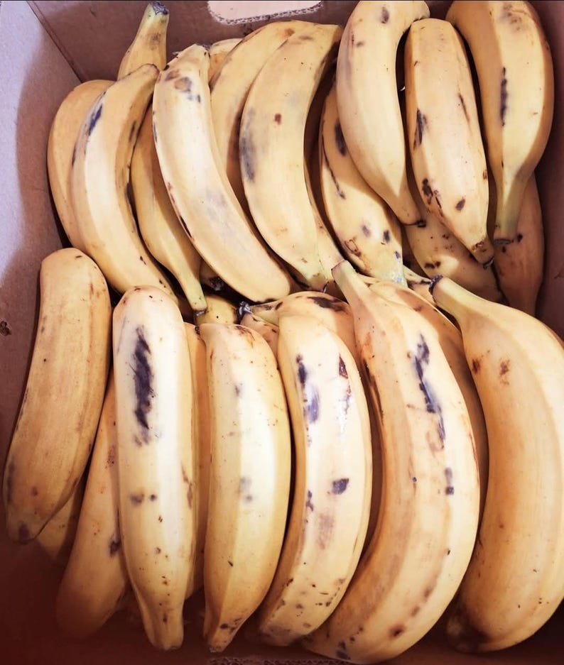 Yellow Plantain, Ripe Plantain, Plantain. - Etsy