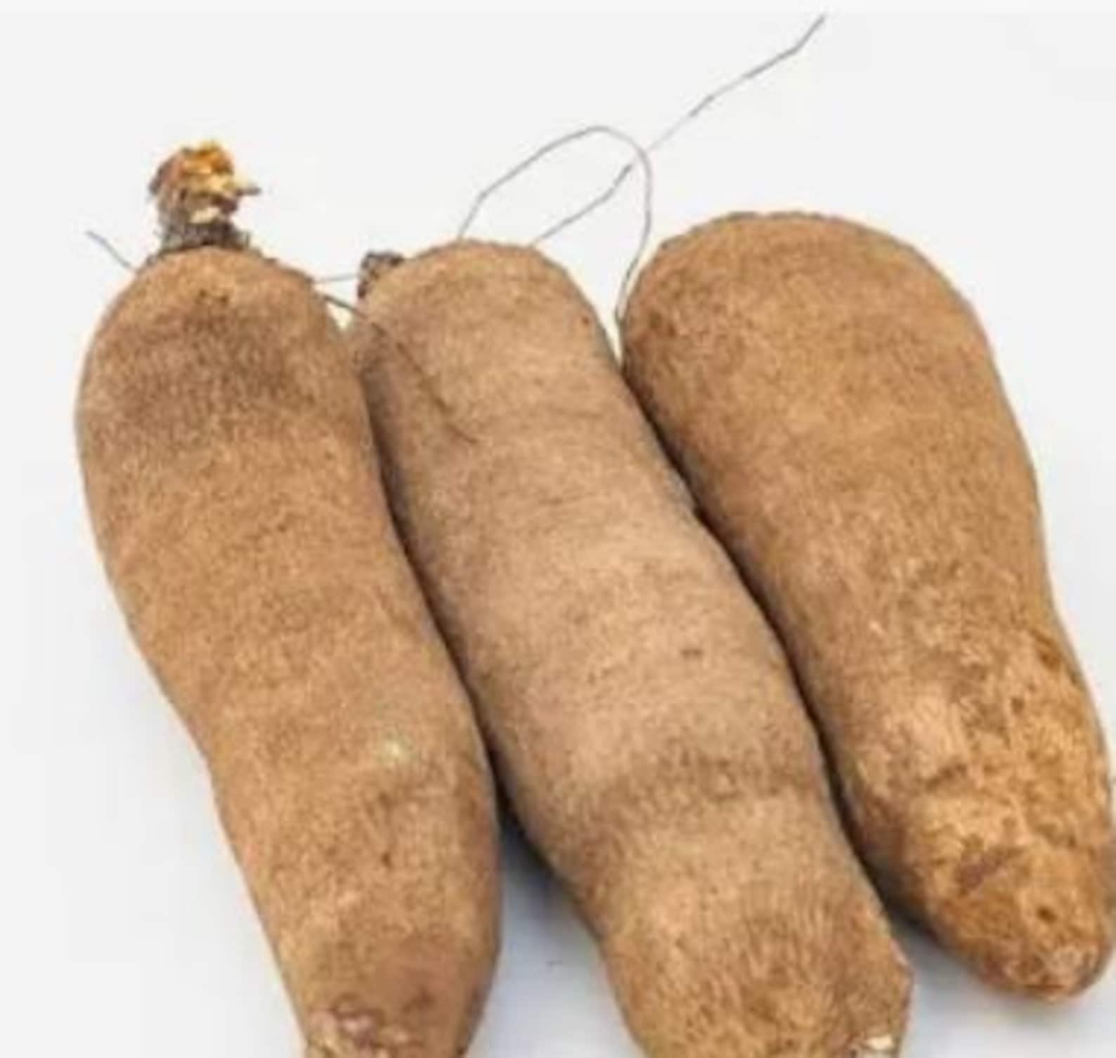 Ghana Yam/ Yam Full Box / Yam Half Box / Yam Quarter Box/ Fresh Ghana ...