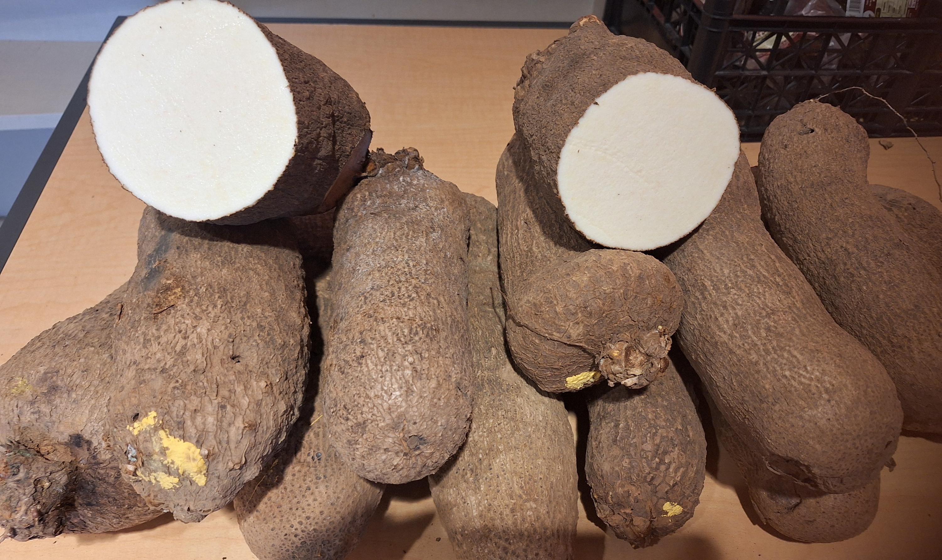 Ghana Yam/ Yam Full Box / Yam Half Box / Yam Quarter Box/ Fresh Ghana ...