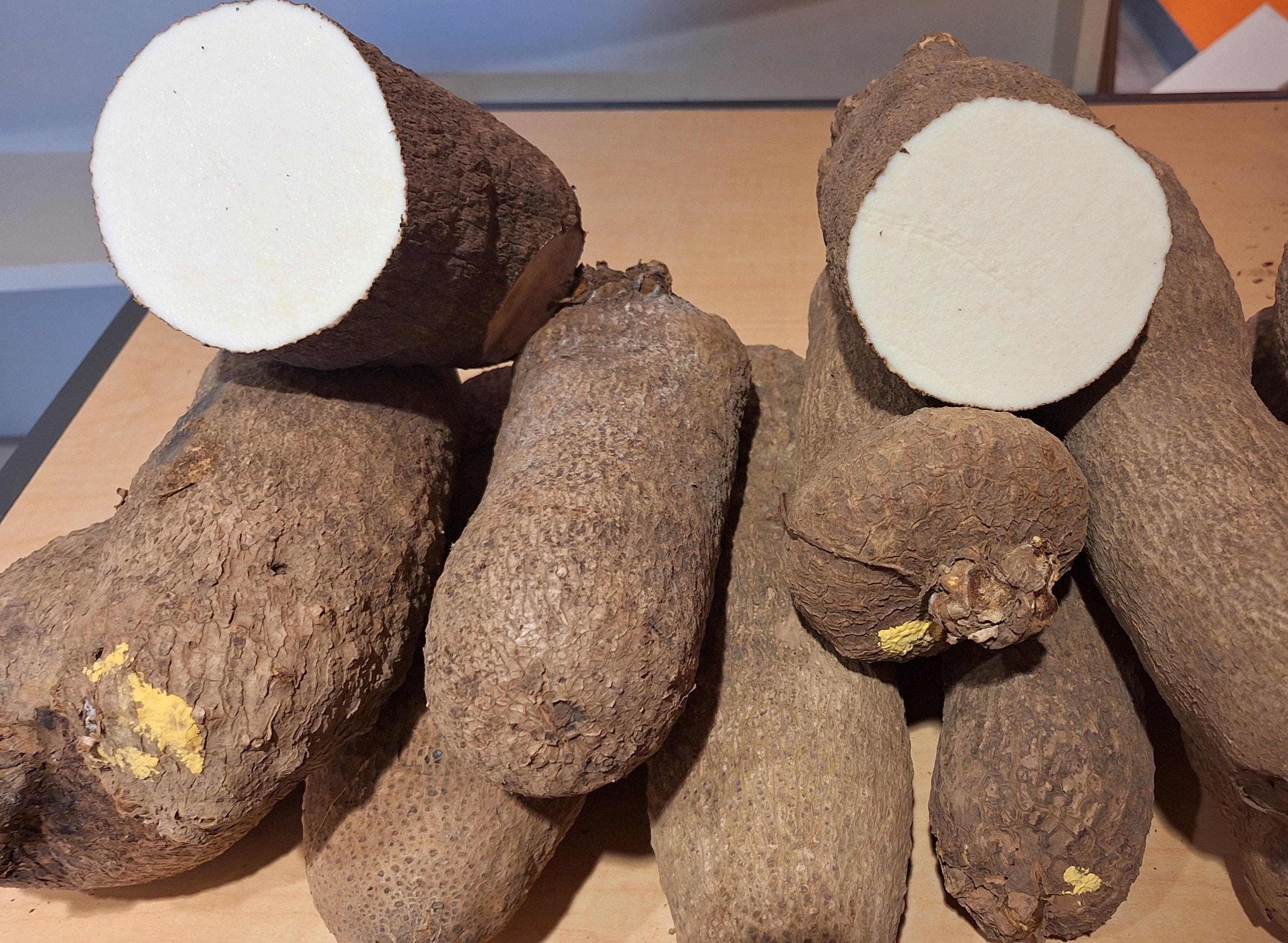Ghana Yam/ Yam Full Box / Yam Half Box / Yam Quarter Box/ Fresh Ghana ...