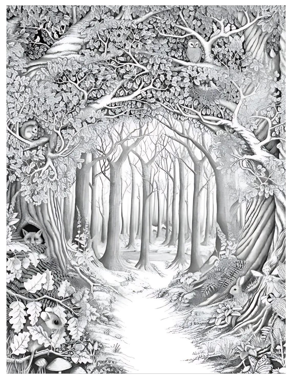 Whimsical Forest Coloring Page - Printable Nature Scene for Relaxation ...