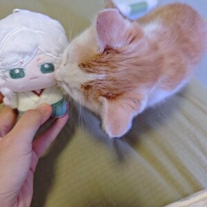 Nanami-tomoe,mizuki, Anime, Doll, Plush, Decor, Toy, Statue, Gift ...