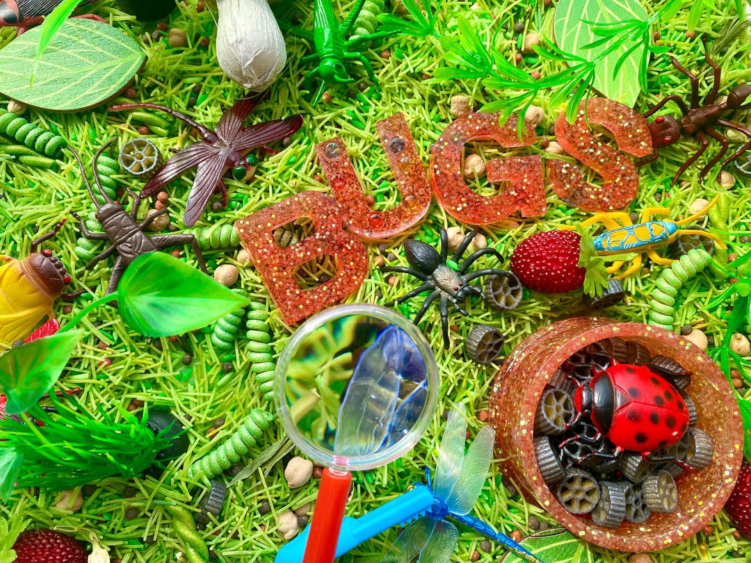 Bugs Sensory Bin, Garden Sensory Bin Filler, Bug Sensory Play ...