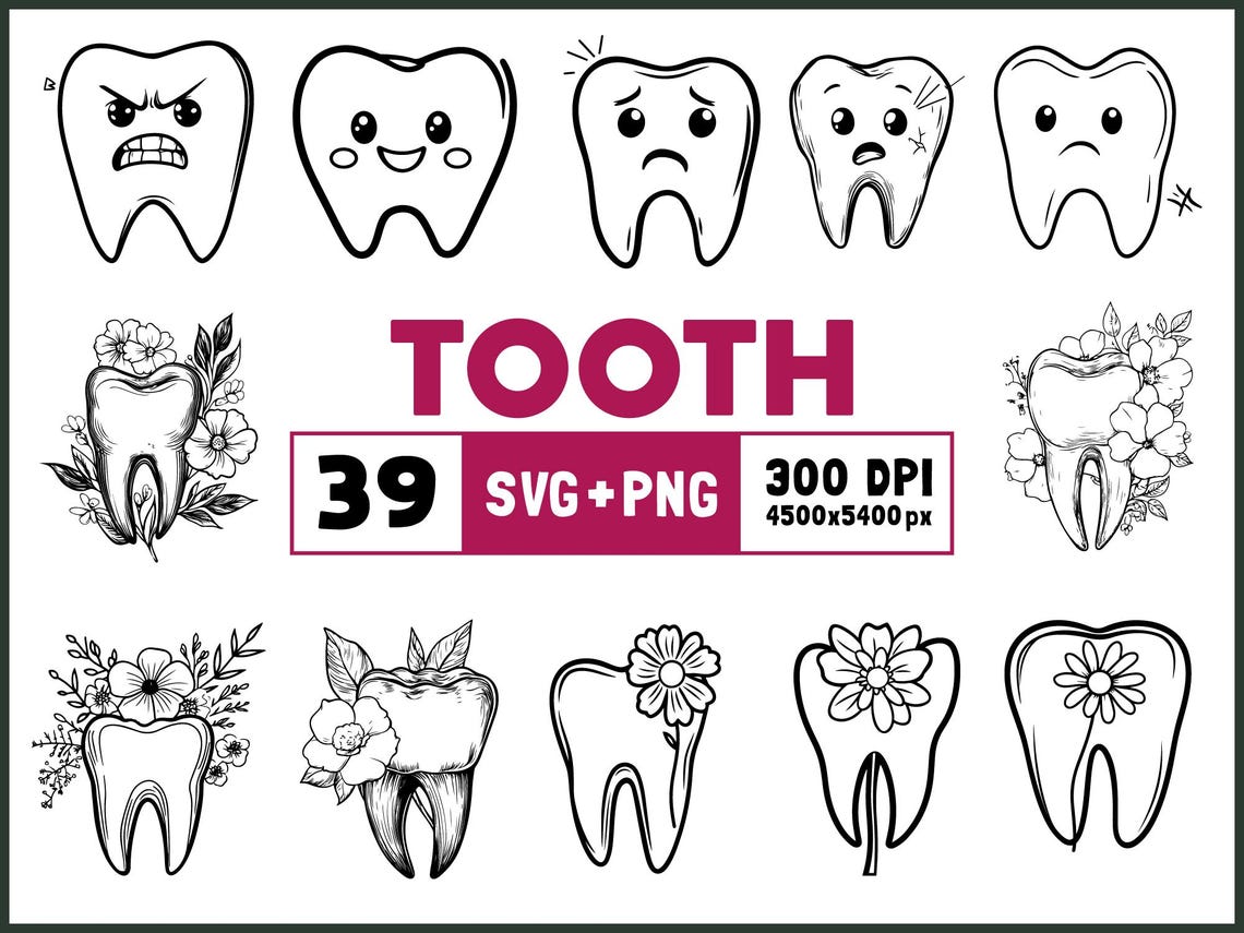 Floral Tooth SVG Bundle: Silhouette, Clipart, Decal (PNG, Vector Files ...