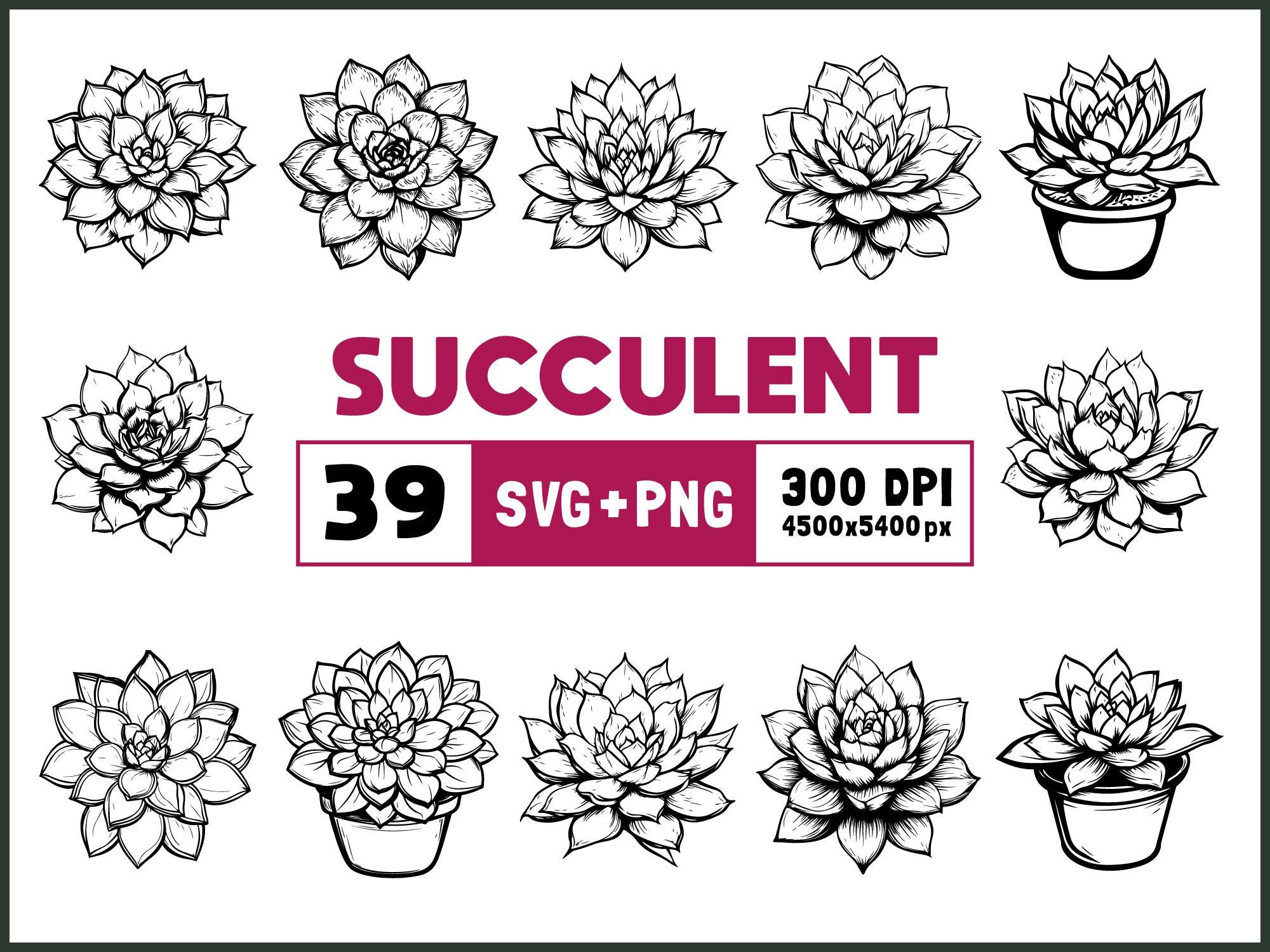 Succulent SVG Bundle: Silhouette, Clipart, and Cut Files - Etsy