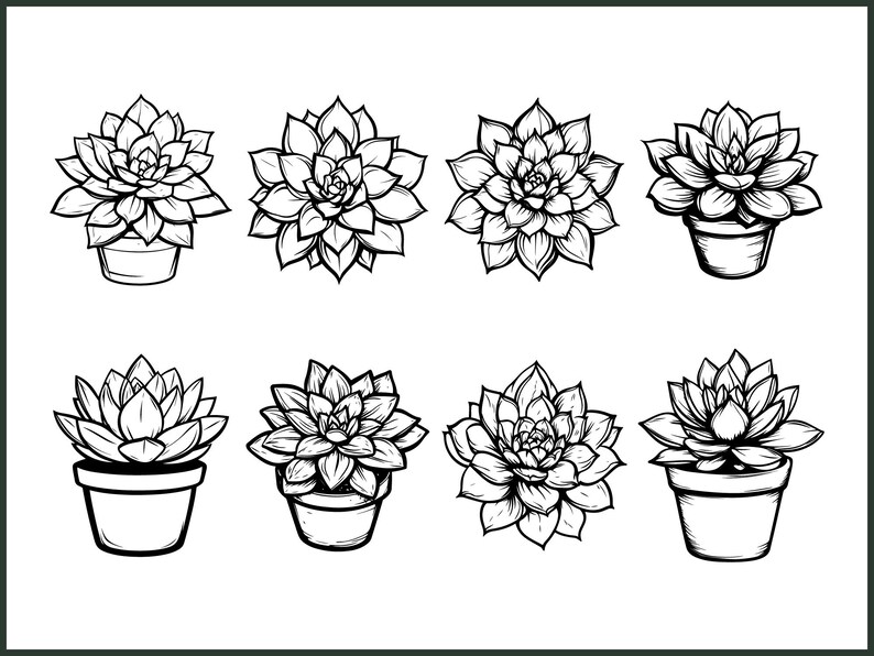 Succulent SVG Bundle: Silhouette, Clipart, and Cut Files - Etsy